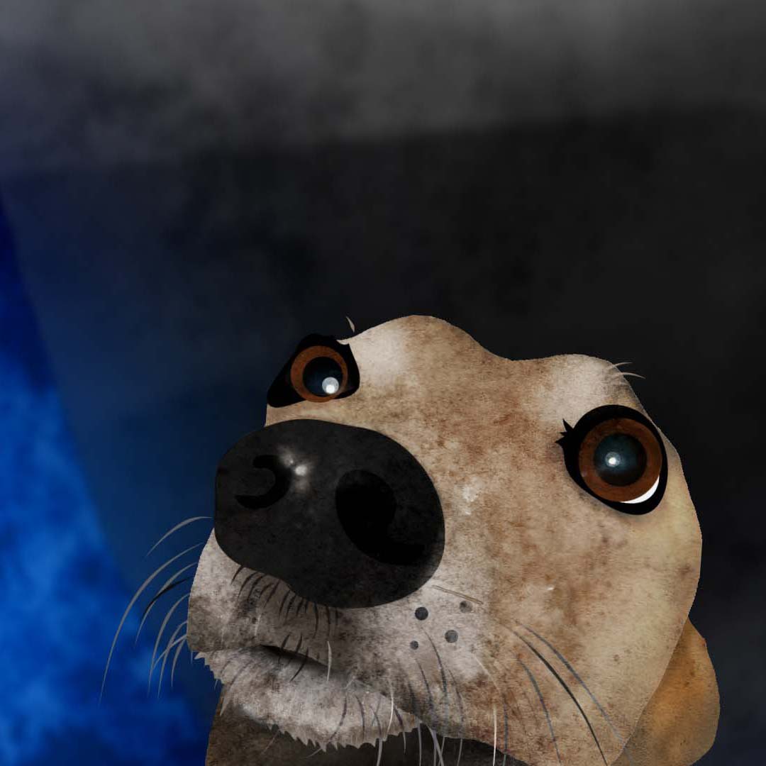SKYHOUND